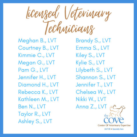 What is a Veterinary Technician | The Cove Center of Veterinary Expertise